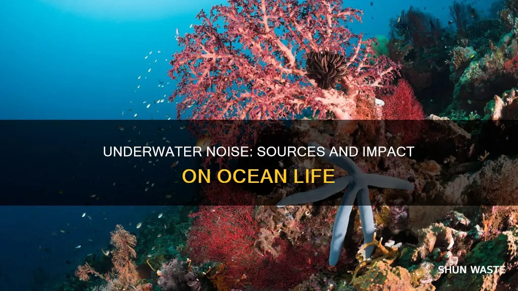 Underwater Noise: Sources And Impact On Ocean Life | ShunWaste