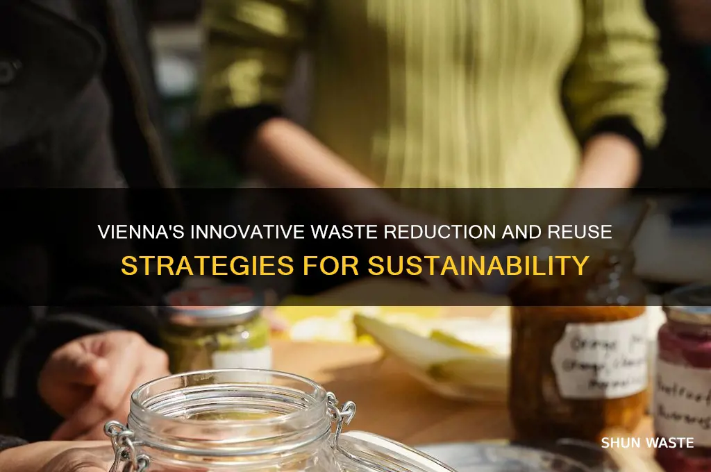 Vienna's Innovative Waste Reduction And Reuse Strategies For ...