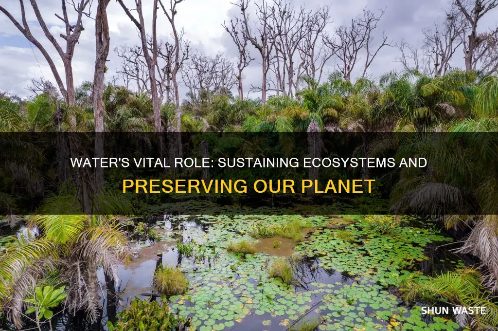 Water's Vital Role: Sustaining Ecosystems And Preserving Our Planet ...