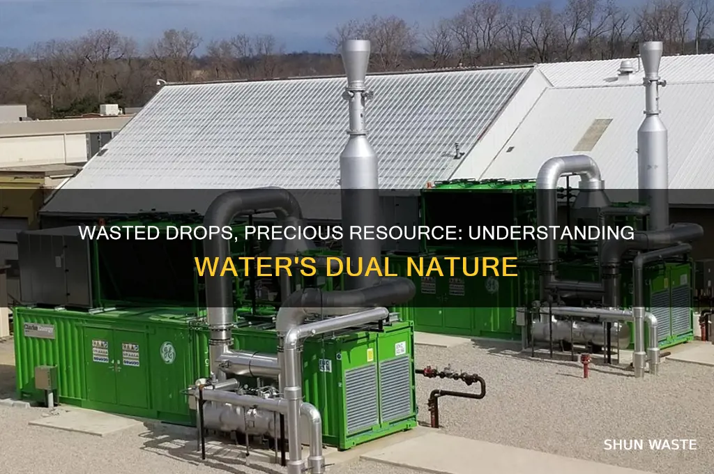 Wasted Drops, Precious Resource: Understanding Water's Dual Nature ...