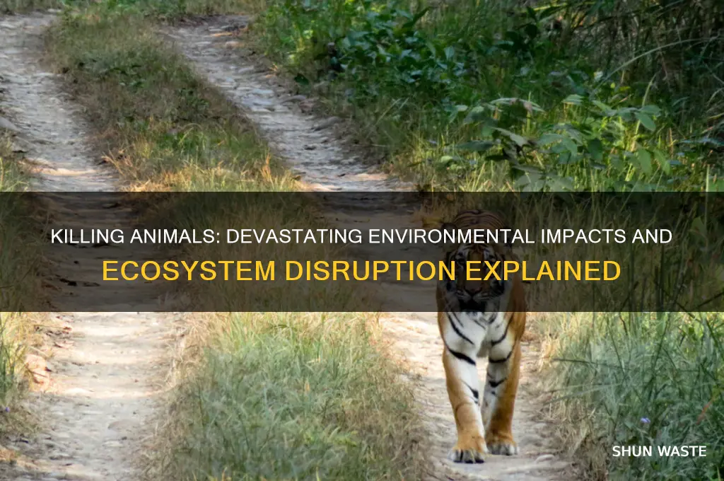 Killing Animals: Devastating Environmental Impacts And Ecosystem ...