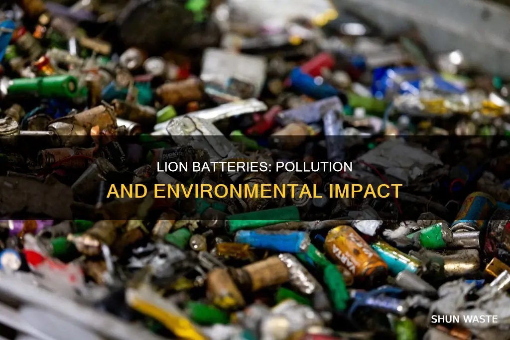 Lion Batteries: Pollution And Environmental Impact | ShunWaste