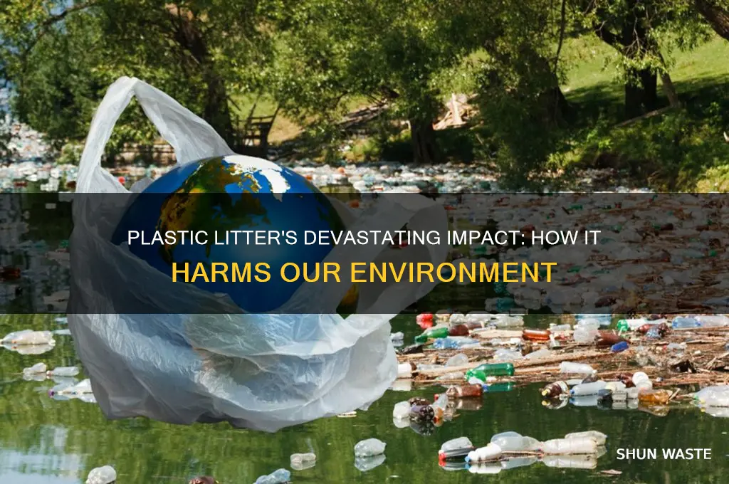 Plastic Litter's Devastating Impact: How It Harms Our Environment ...