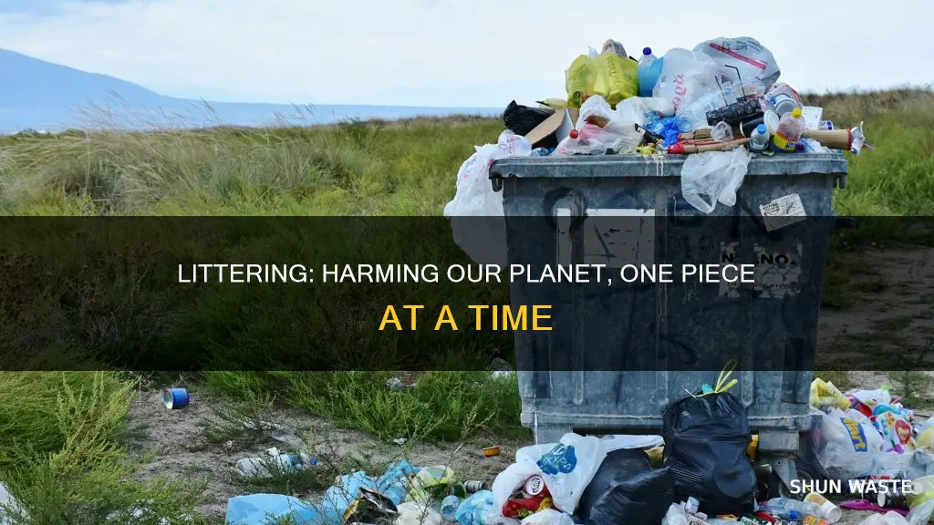 Littering: Harming Our Planet, One Piece At A Time | ShunWaste