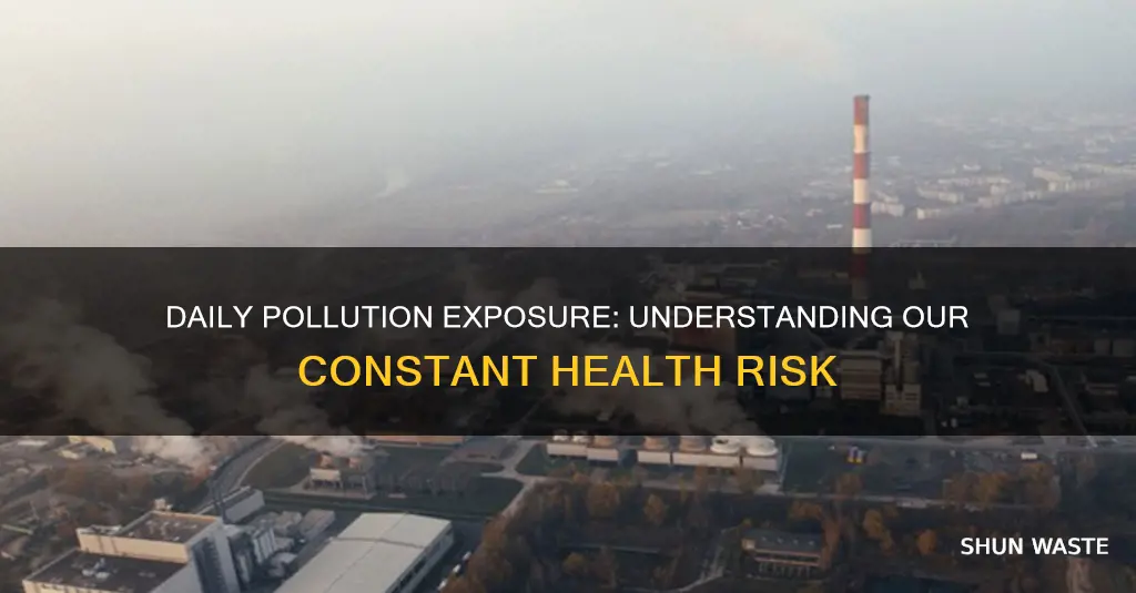 Daily Pollution Exposure: Understanding Our Constant Health Risk ...