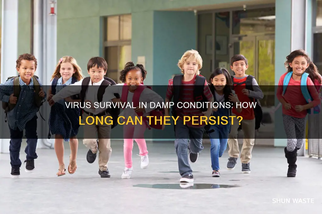Virus Survival In Damp Conditions: How Long Can They Persist? | ShunWaste