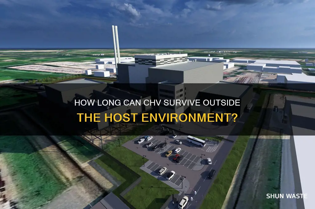 How Long Can Chv Survive Outside The Host Environment? | ShunWaste