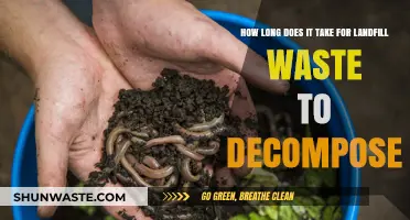 Decomposition Timeline: How Long Does Waste Take To Break Down? | ShunWaste