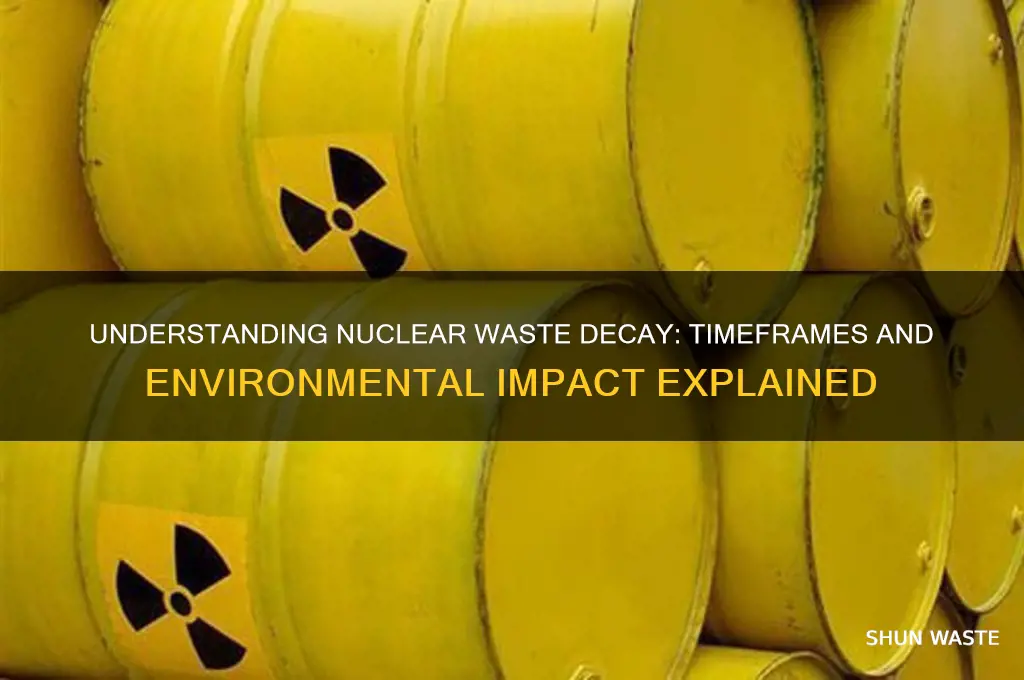 Understanding Nuclear Waste Decay: Timeframes And Environmental Impact ...