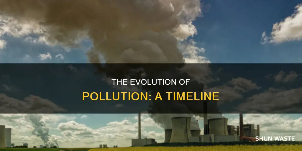 The Evolution Of Pollution: A Timeline | ShunWaste