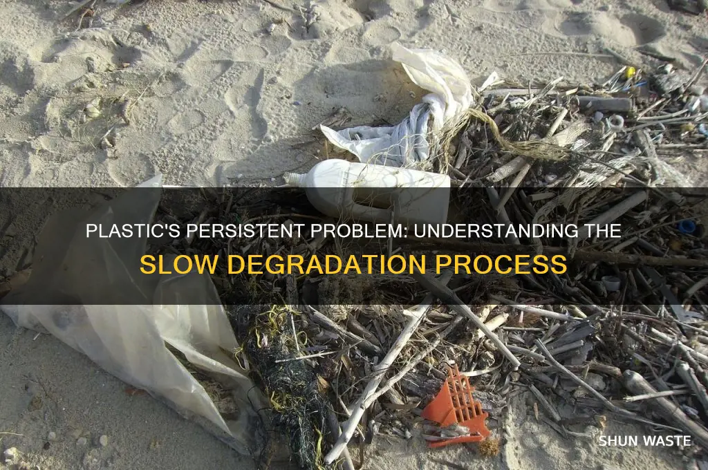 Plastic's Persistent Problem: Understanding The Slow Degradation ...