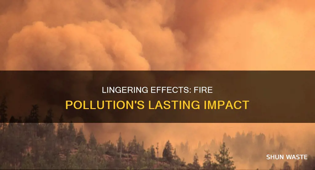 Lingering Effects: Fire Pollution's Lasting Impact | ShunWaste