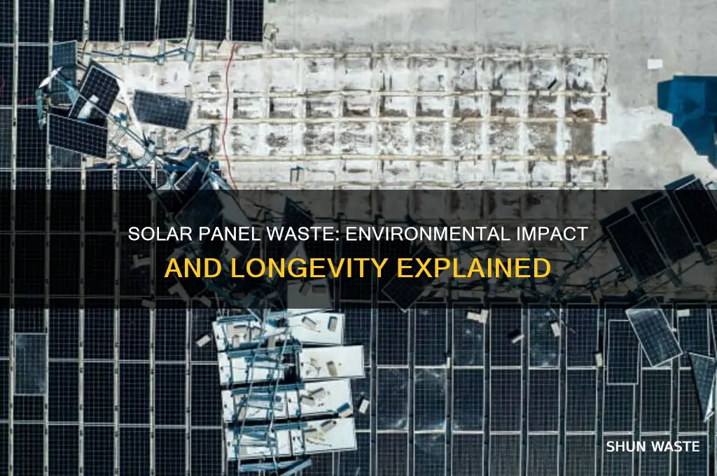 Solar Panel Waste: Environmental Impact And Longevity Explained | ShunWaste