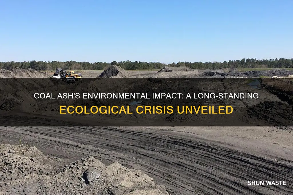 Coal Ash's Environmental Impact: A Long-Standing Ecological Crisis ...