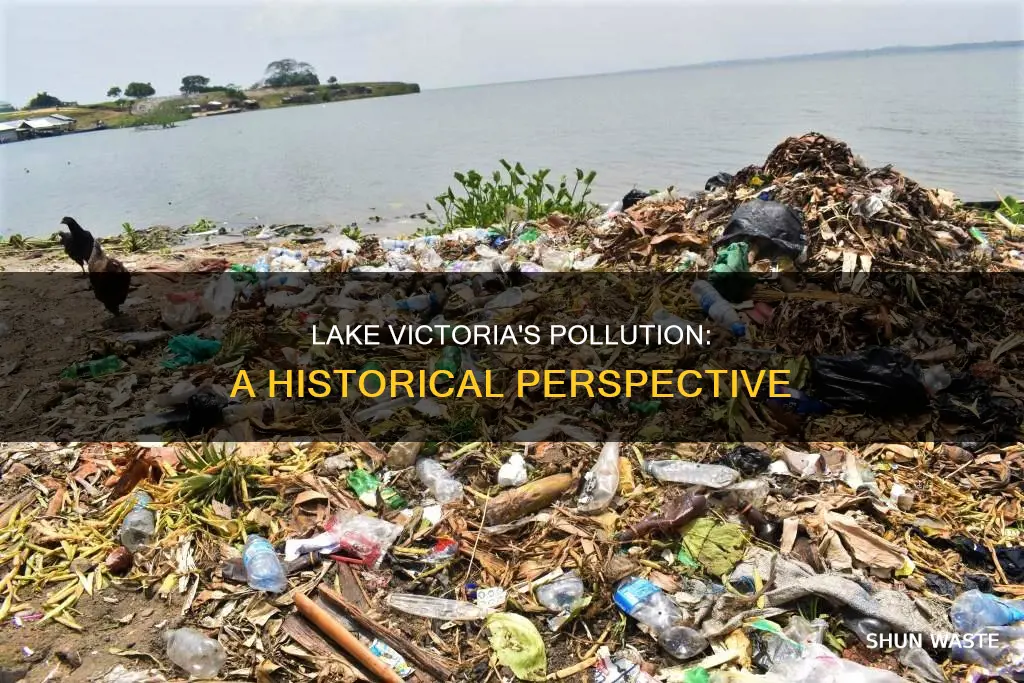 Lake Victoria's Pollution: A Historical Perspective | ShunWaste