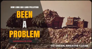 The History Of Pollution: A Timeline Of Earth's Struggles | ShunWaste