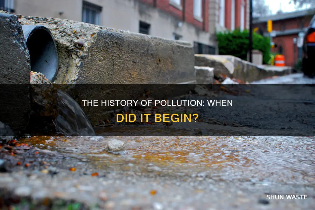 The History Of Pollution: When Did It Begin? | ShunWaste