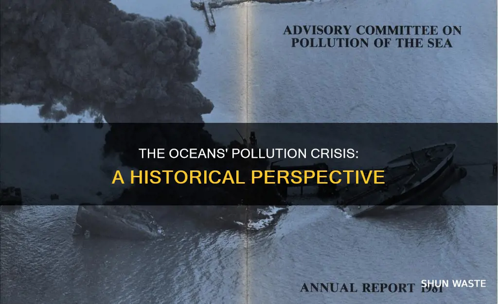 The Oceans' Pollution Crisis: A Historical Perspective | ShunWaste