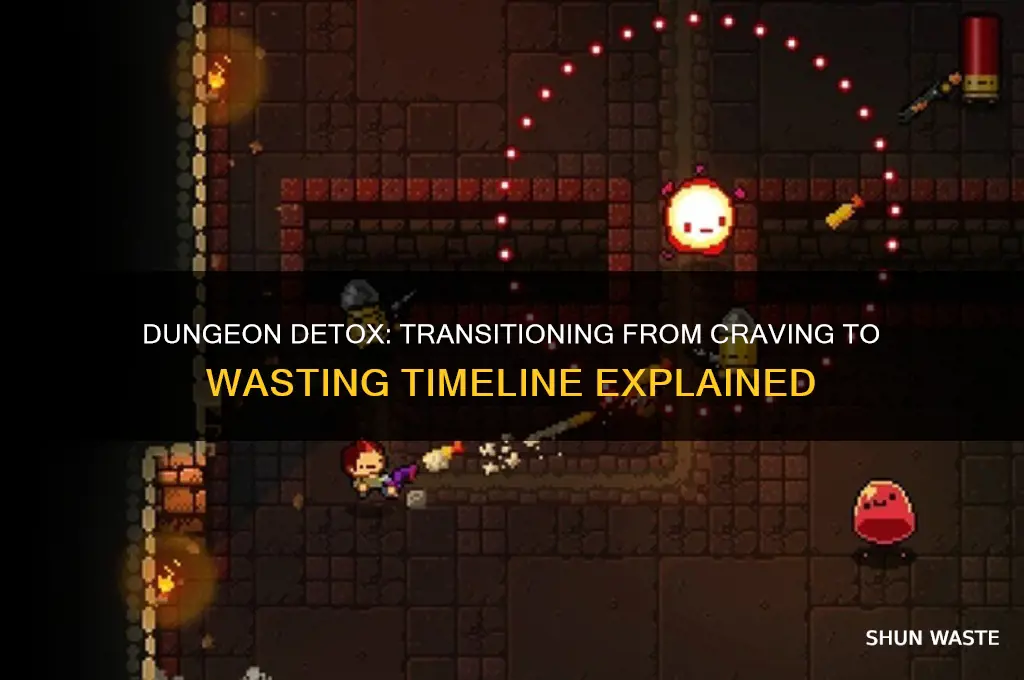 Dungeon Detox: Transitioning From Craving To Wasting Timeline Explained ...