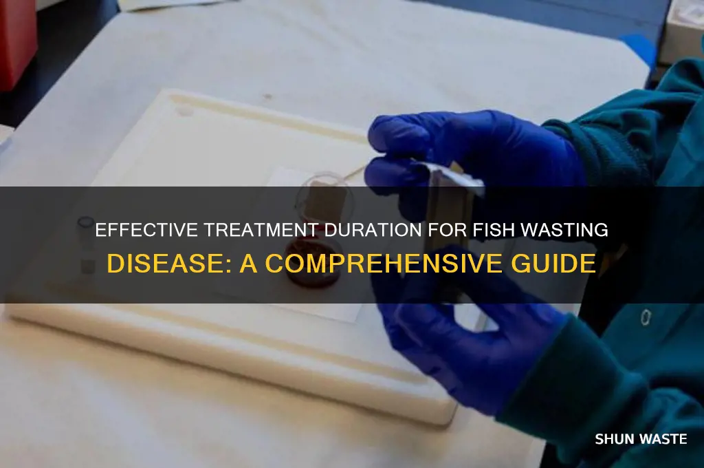 Effective Treatment Duration For Fish Wasting Disease: A Comprehensive ...