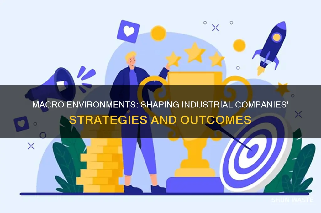 Macro Environments: Shaping Industrial Companies' Strategies And ...