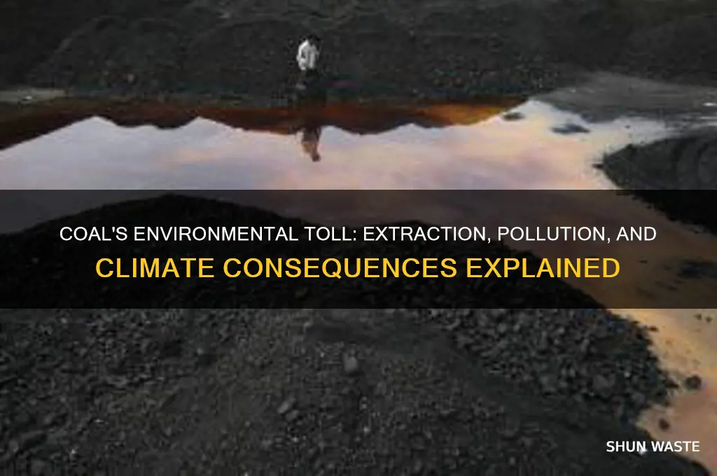 Coal's Environmental Toll: Extraction, Pollution, And Climate ...