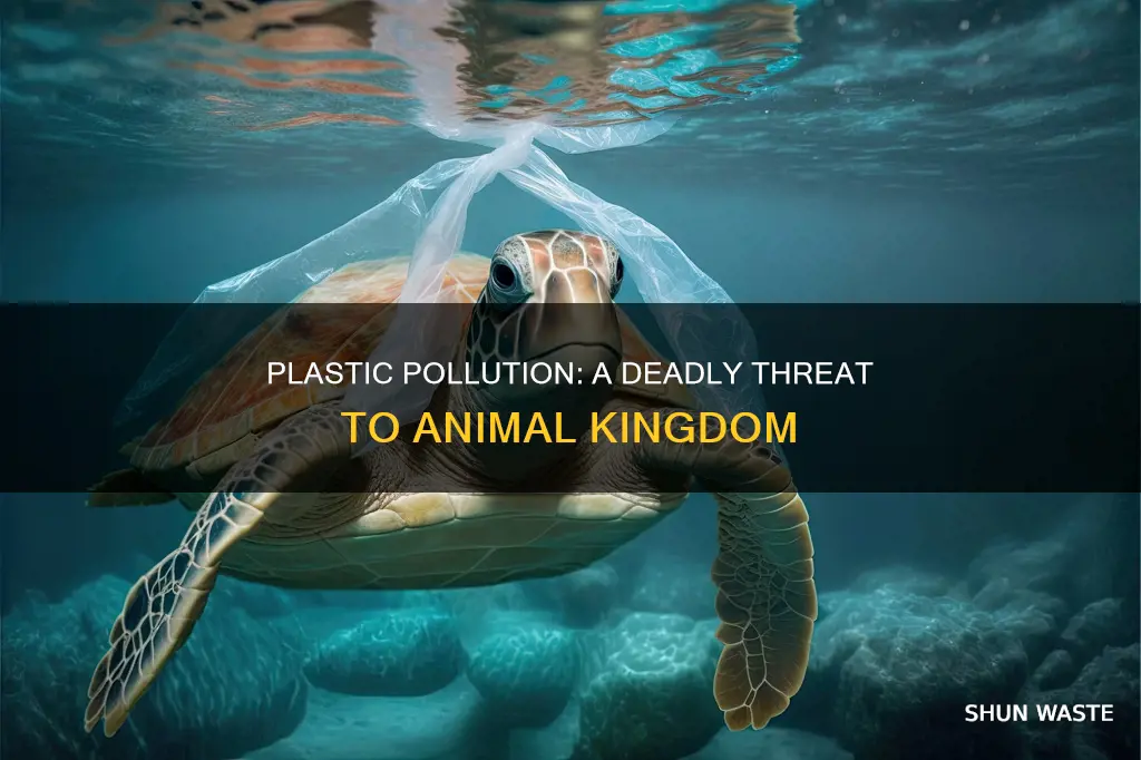 Plastic Pollution: A Deadly Threat To Animal Kingdom | ShunWaste