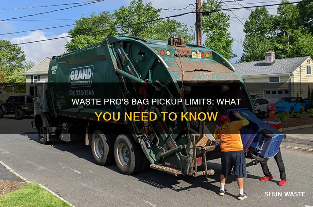 Waste Pro's Bag Pickup Limits: What You Need To Know | ShunWaste