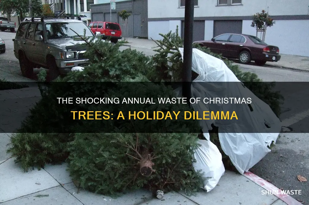 The Shocking Annual Waste Of Christmas Trees: A Holiday Dilemma | ShunWaste