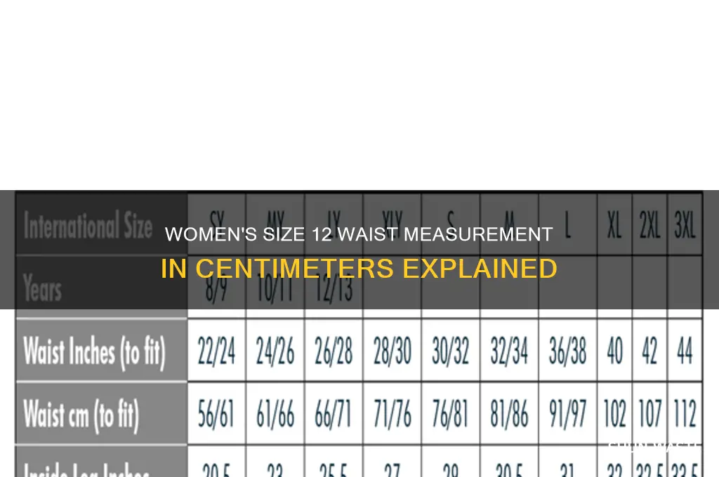 Women's Size 12 Waist Measurement In Centimeters Explained | ShunWaste