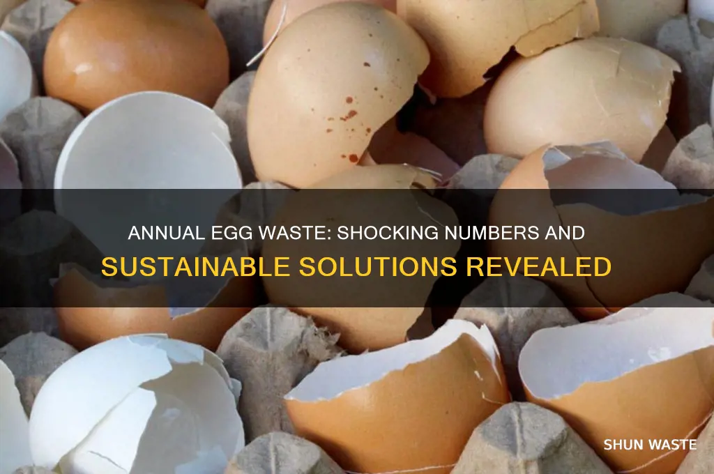 Annual Egg Waste: Shocking Numbers And Sustainable Solutions Revealed ...