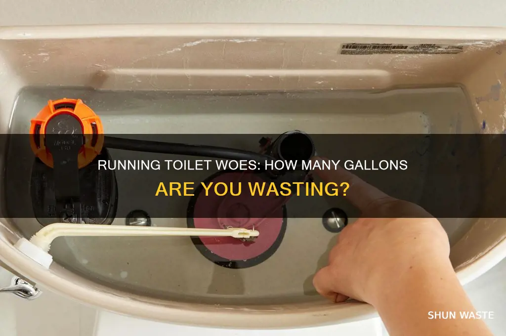 Running Toilet Woes: How Many Gallons Are You Wasting? | ShunWaste