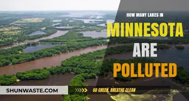 Lakes And Rivers: Polluted And At Risk | ShunWaste