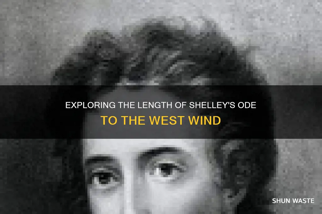 Exploring The Length Of Shelley's Ode To The West Wind | ShunWaste