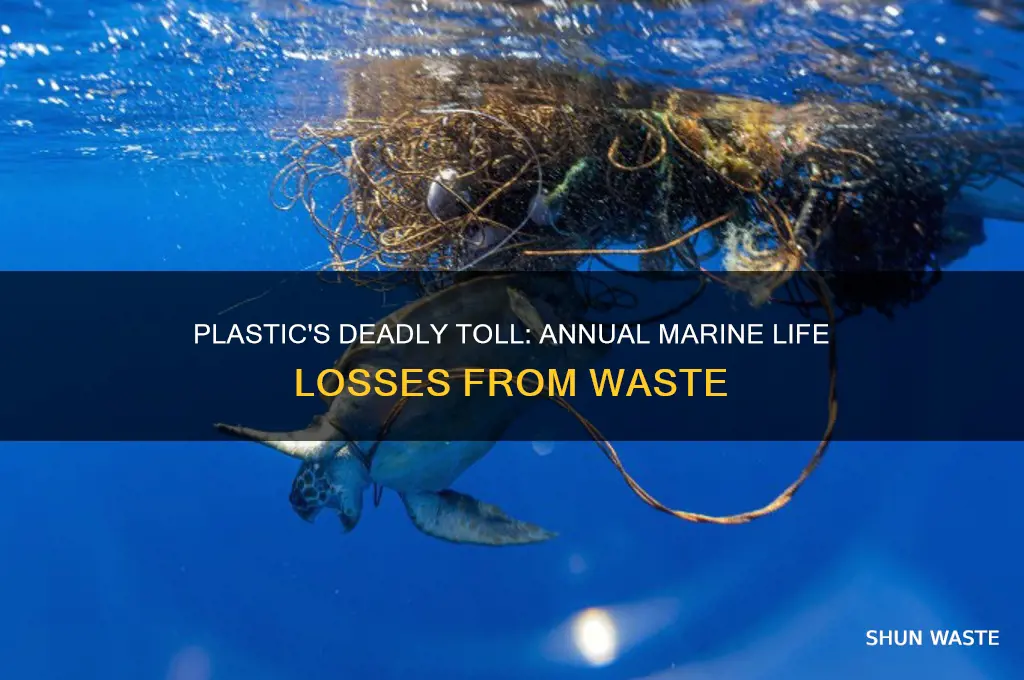 Plastic's Deadly Toll: Annual Marine Life Losses From Waste | ShunWaste