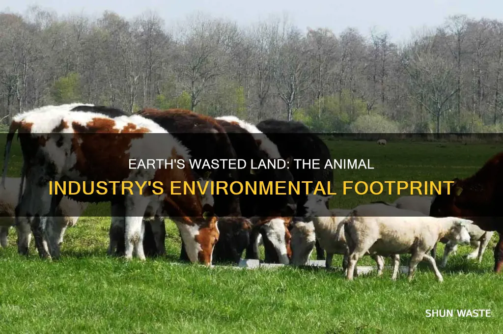 Earth's Wasted Land: The Animal Industry's Environmental Footprint ...