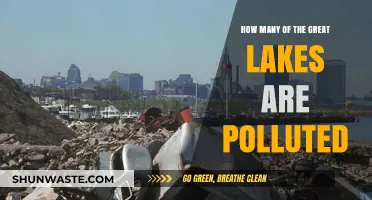 Lakes And Rivers: Polluted And At Risk | ShunWaste