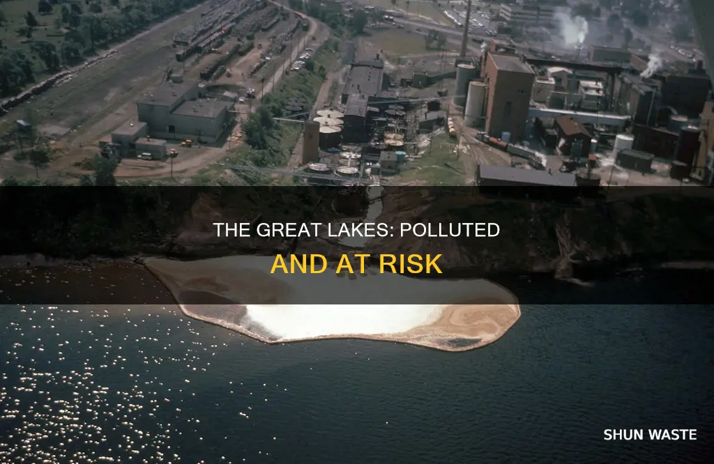 The Great Lakes: Polluted And At Risk | ShunWaste