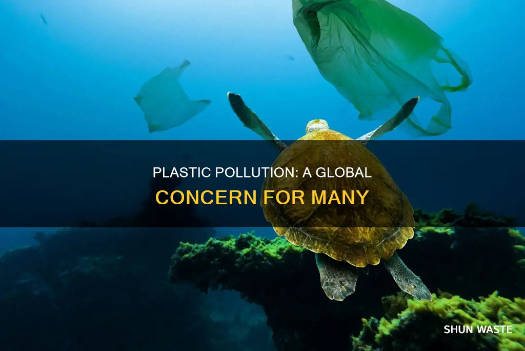 Plastic Pollution: A Global Concern For Many | ShunWaste