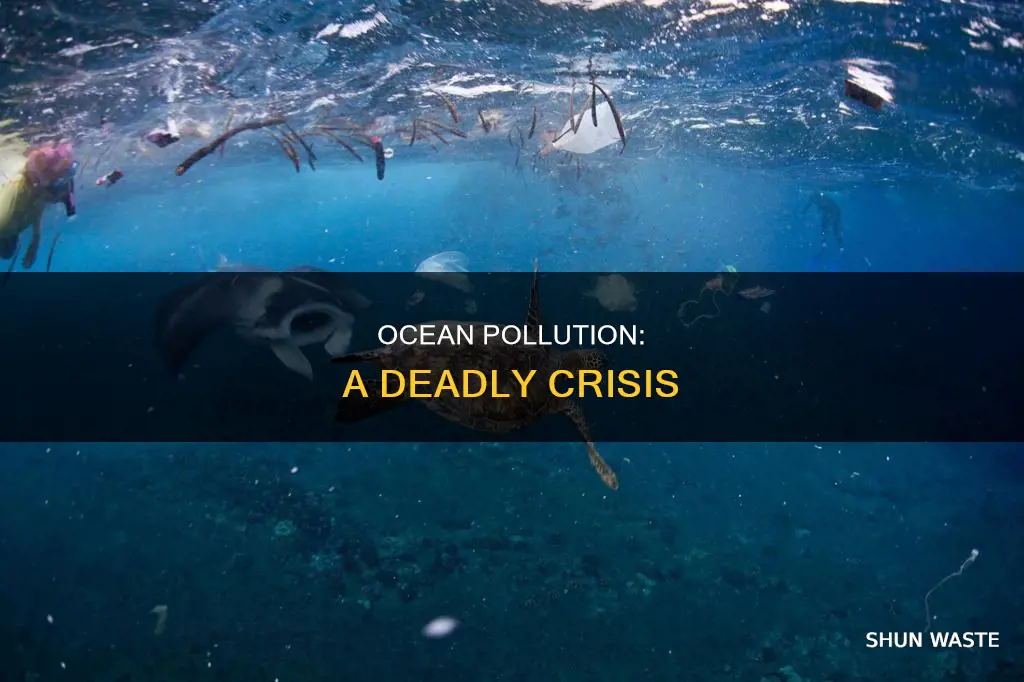 Ocean Pollution: A Deadly Crisis | ShunWaste