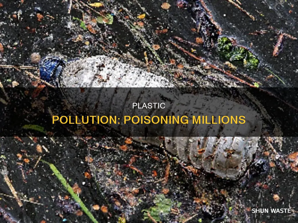 Plastic Pollution: Poisoning Millions | ShunWaste