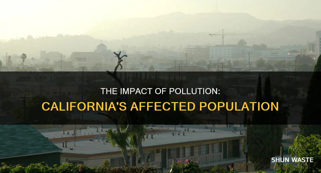 The Impact Of Pollution: California's Affected Population | ShunWaste