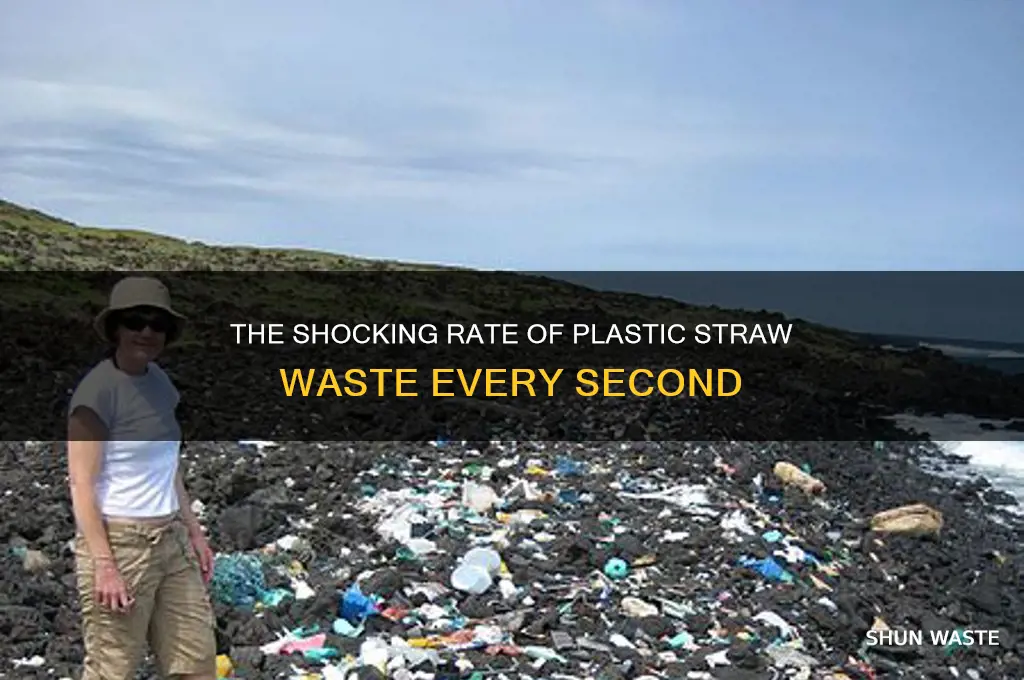 The Shocking Rate Of Plastic Straw Waste Every Second | ShunWaste