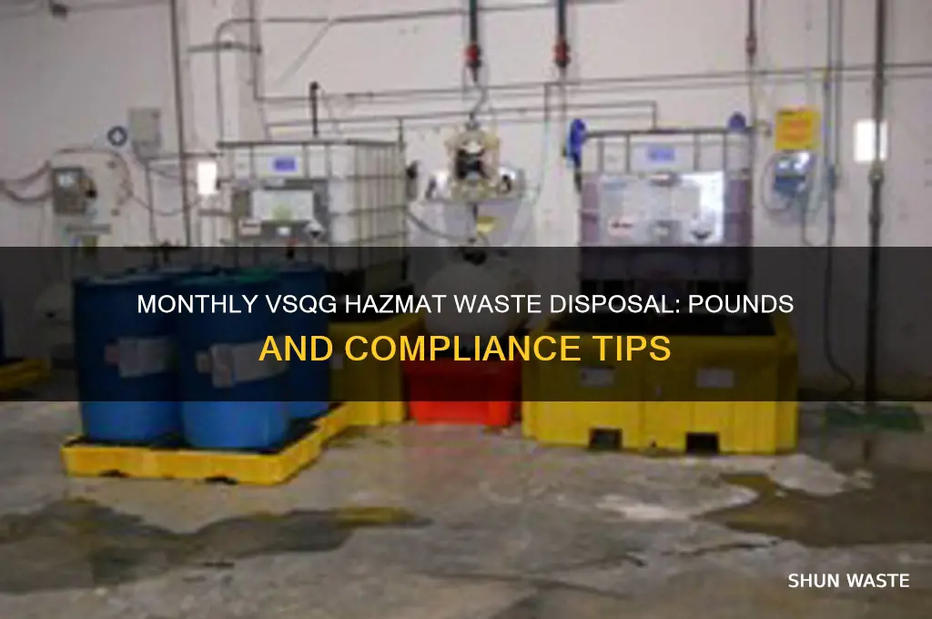 Monthly Vsqg Hazmat Waste Disposal: Pounds And Compliance Tips | ShunWaste