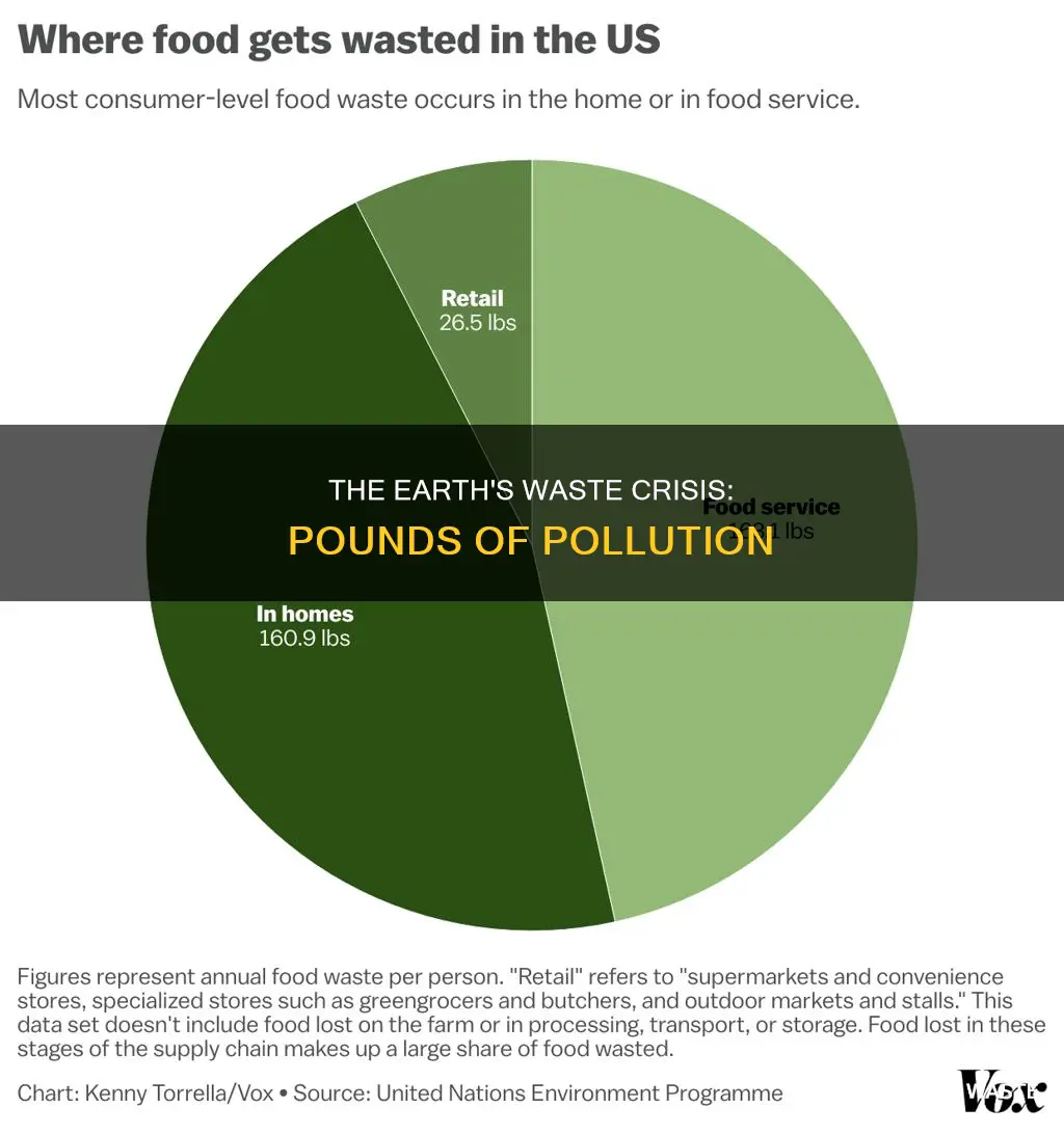 The Earth's Waste Crisis: Pounds Of Pollution | ShunWaste