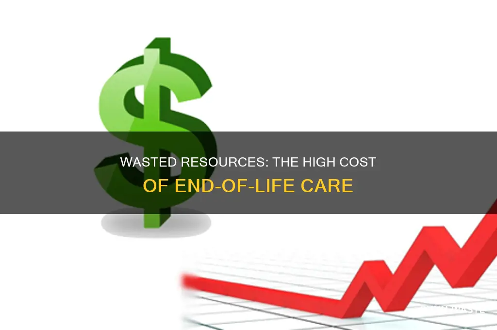 Wasted Resources: The High Cost Of End-Of-Life Care | ShunWaste