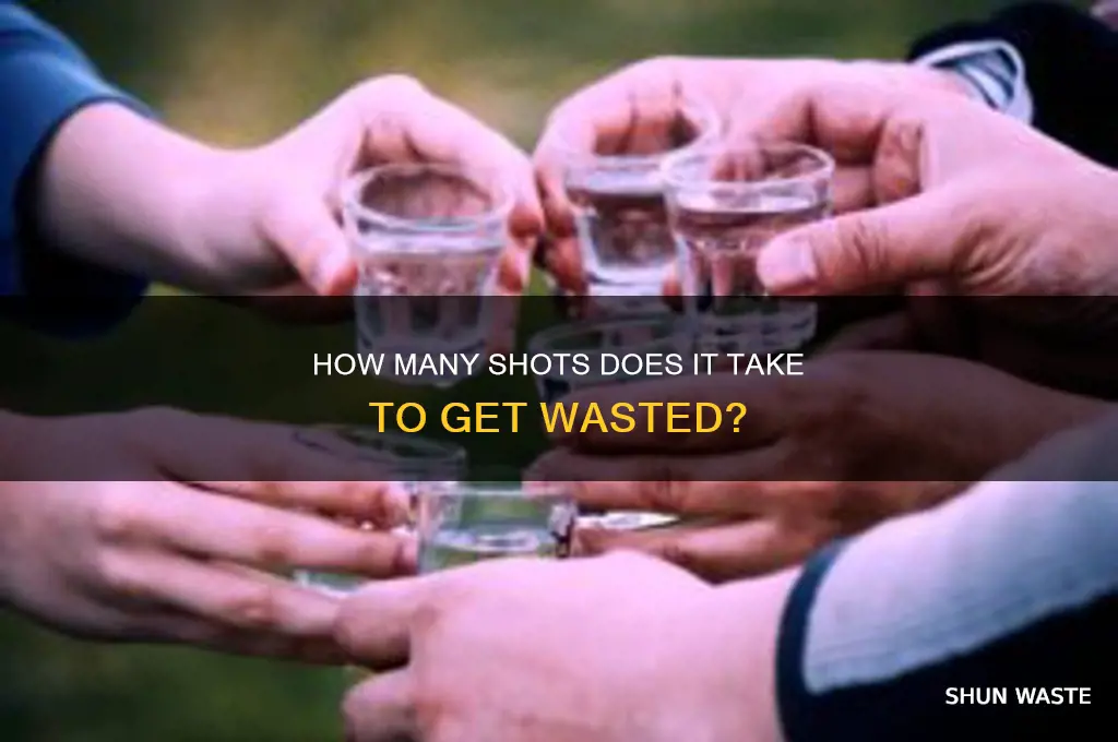 How Many Shots Does It Take To Get Wasted? | ShunWaste