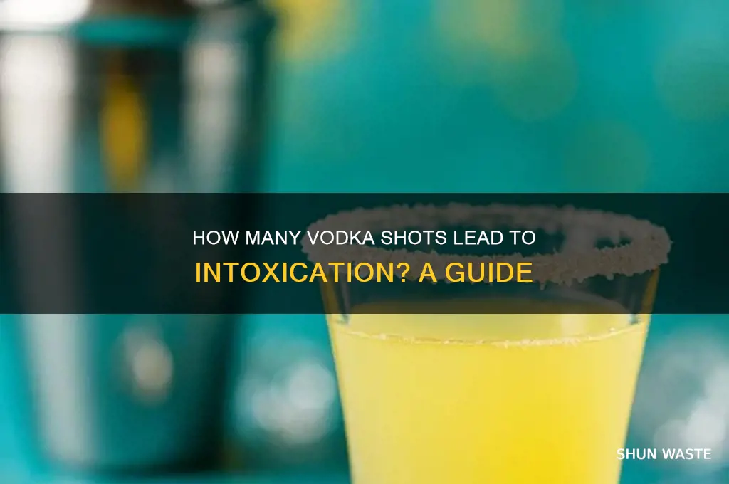 How Many Vodka Shots Lead To Intoxication? A Guide | ShunWaste