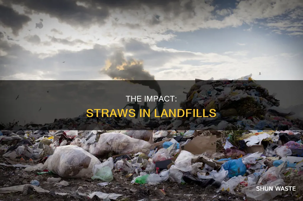The Impact: Straws In Landfills | ShunWaste