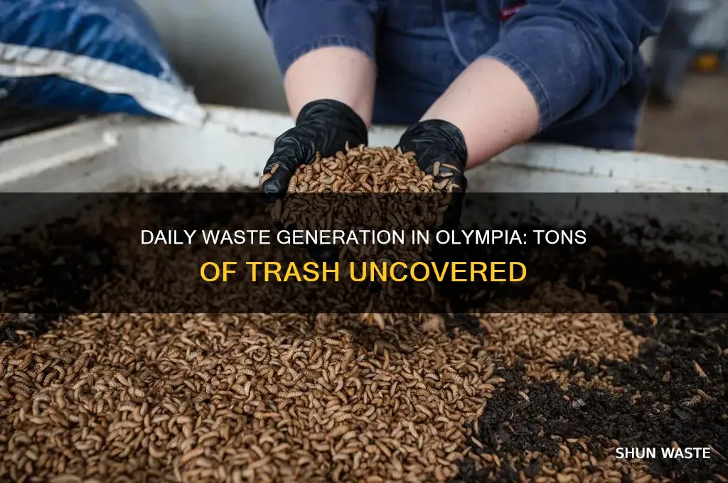 Daily Waste Generation In Olympia: Tons Of Trash Uncovered | ShunWaste
